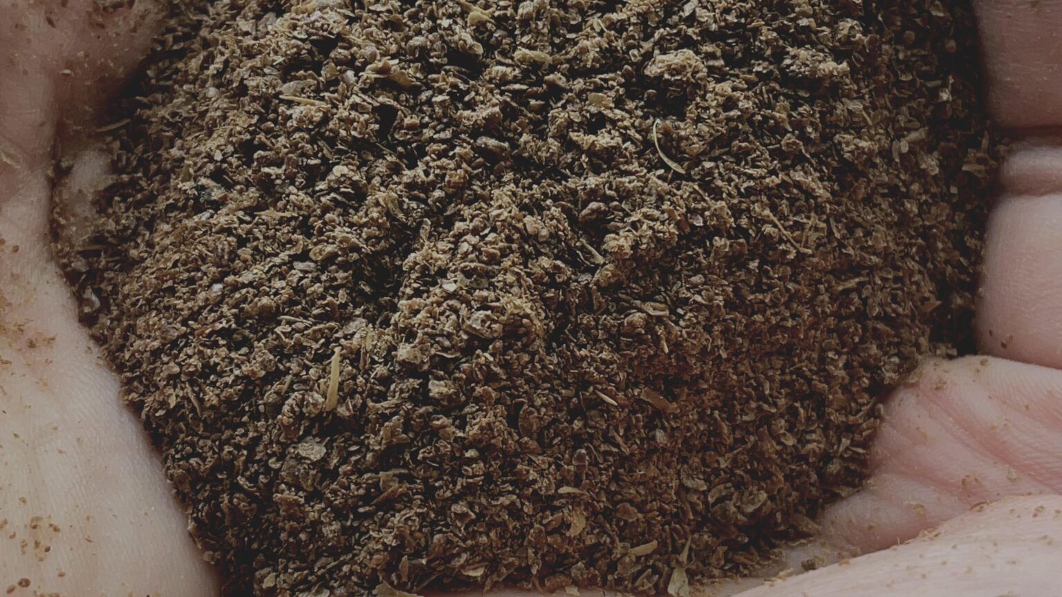 Introducing RINGO-TEX! | appcycle