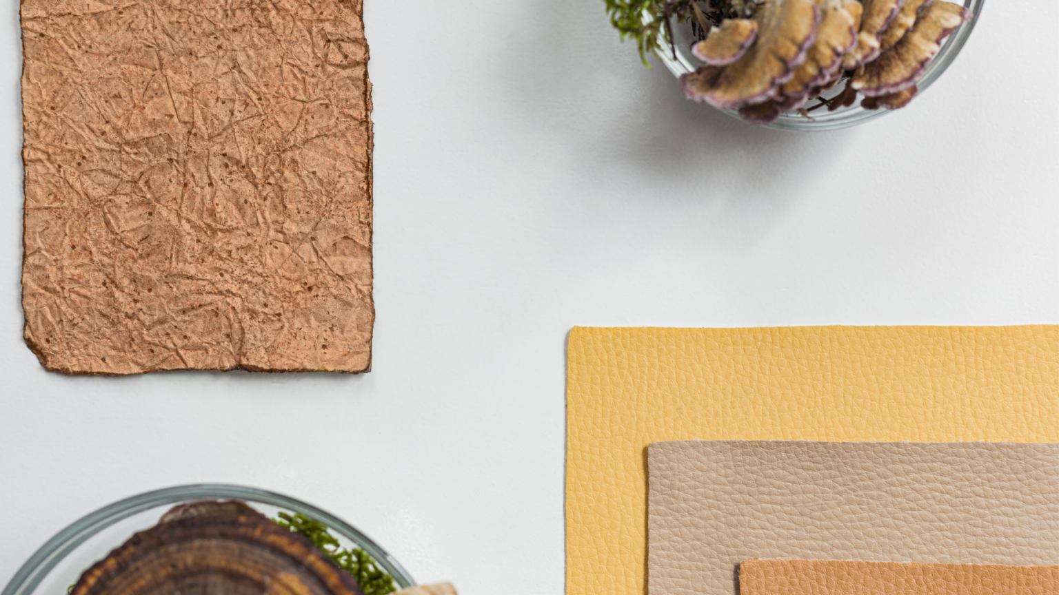 Vegan Leather: What it is, and Why we love it. | appcycle