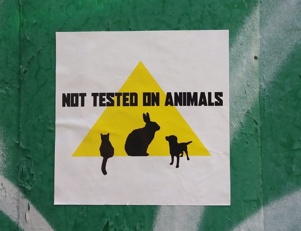 From Upcycling to Circular Fashion: Decoding 10 Sustainable Fashion ...