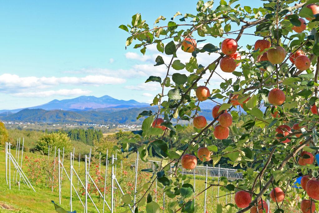 Who is behind appcycle inc.? | appcycle